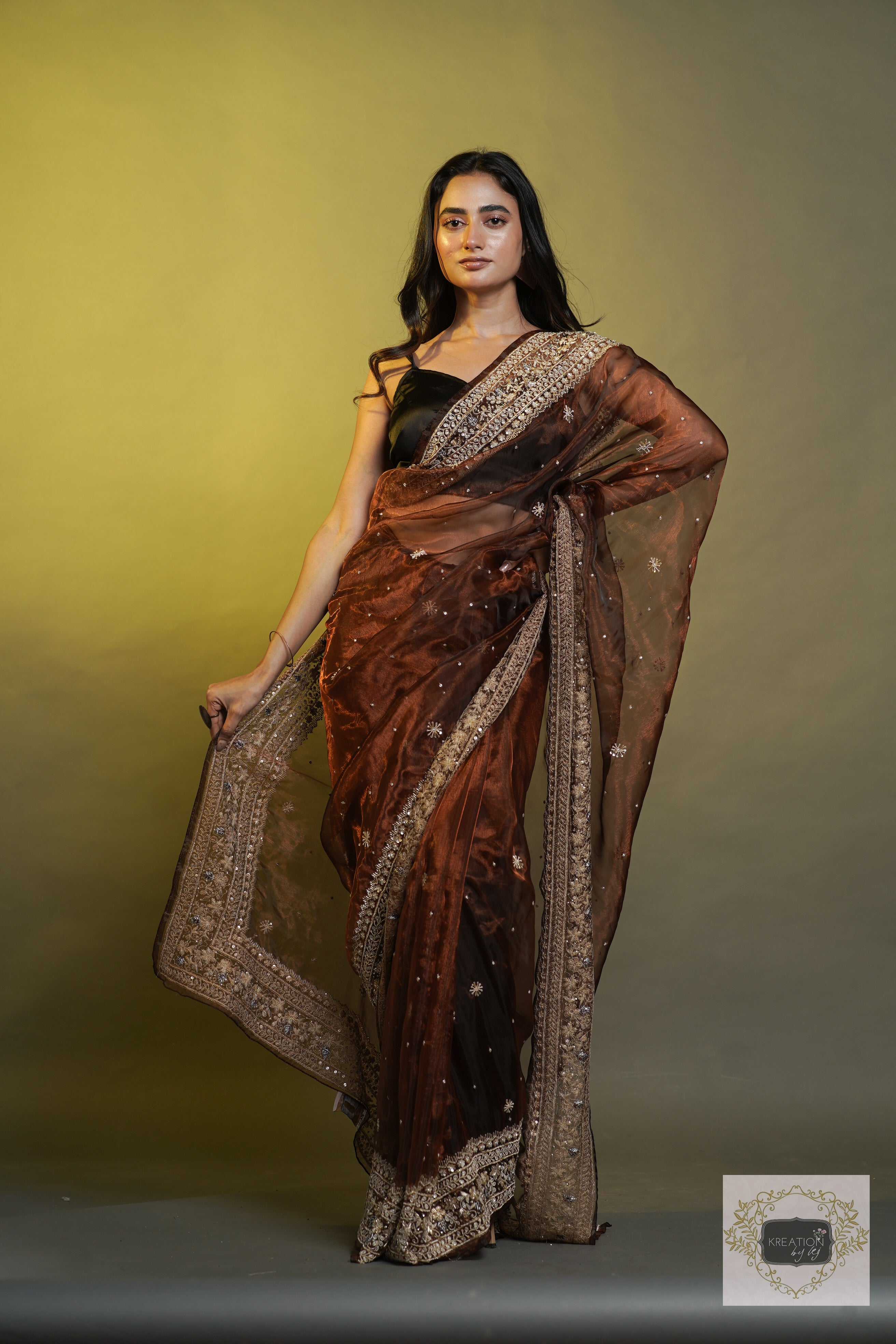 Nazakat Copper Glass Tissue Saree – kreationbykj